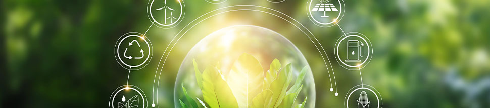 AM Conservation | Liquidation.com